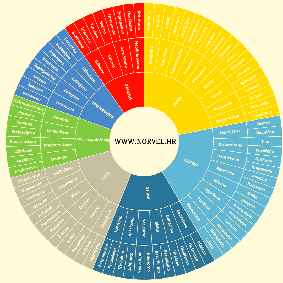 PREPOZNAVANJE I RAZUMIJEVANJE EMOCIJA - zašto trebamo biti bolji u tome ...